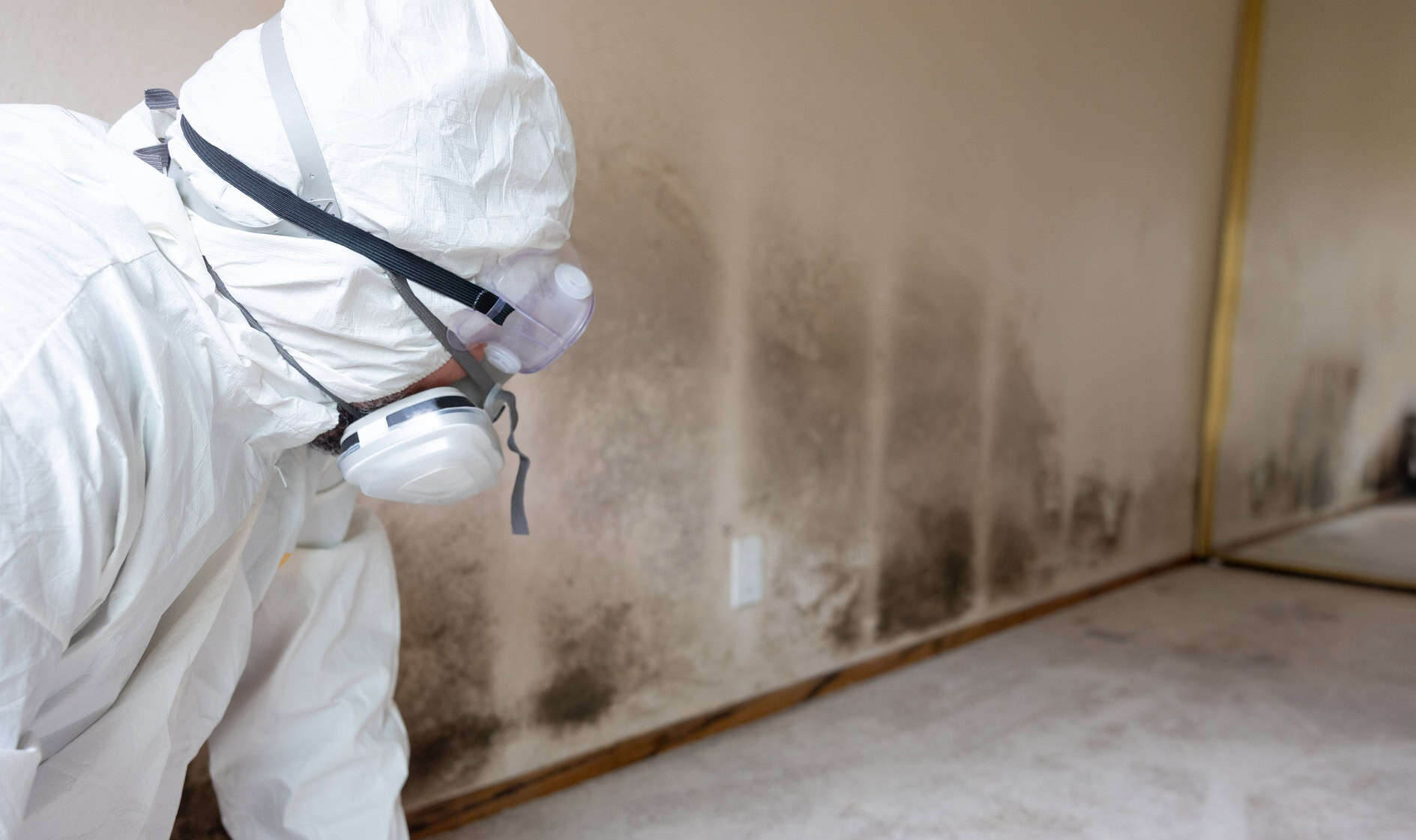 Mold Cleanup Monarch Bay | Remediation Company - 24/7 Restoration